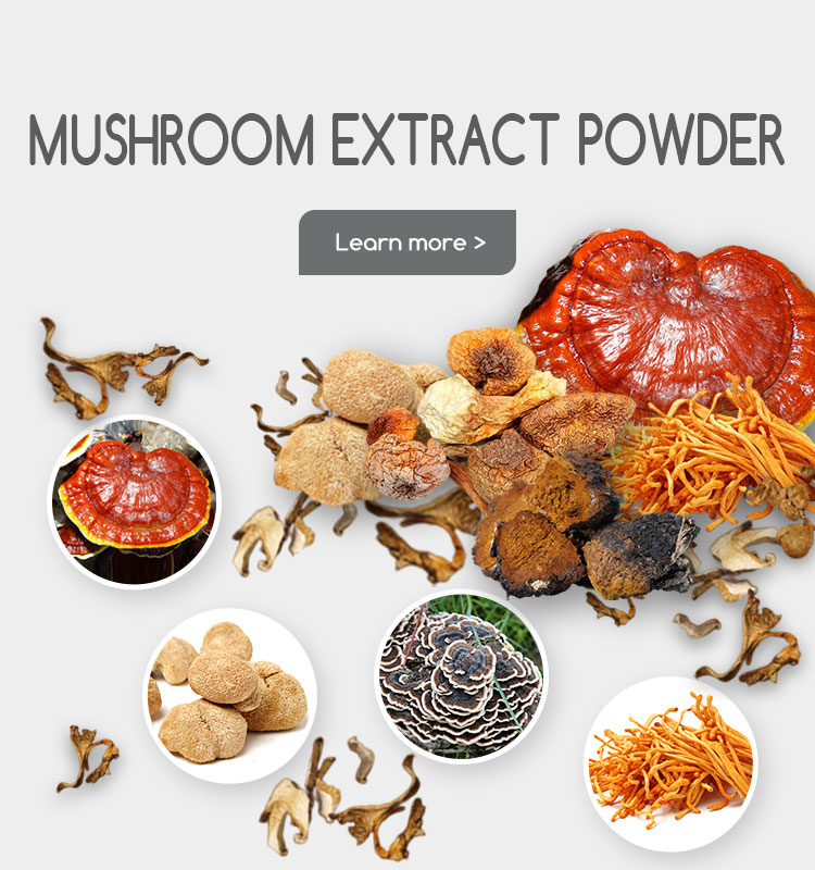 mushroom, fungus, extract, Improve immunity, Edible and medicinal fungi ...